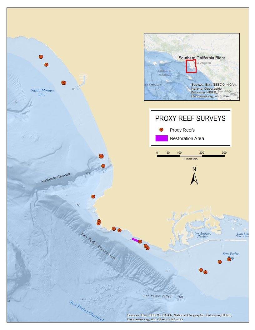 Palos Verdes Reef | Occidental College