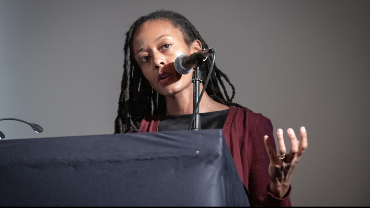 Prof. Janna Ireland’s New Solo Exhibition Opens Feb. 11 in Santa ...