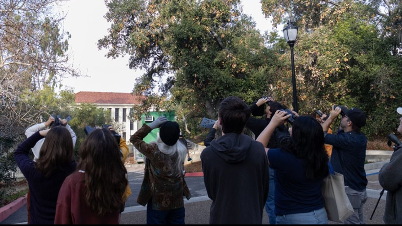 From The Occidental: Beginner Birders Take Flight at Community Bird Walk with Moore Lab of ...