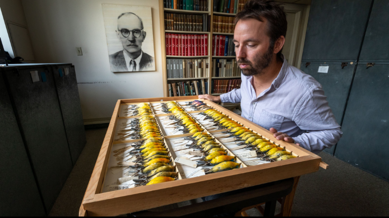 Professor John McCormack Named AAAS Fellow | Occidental College