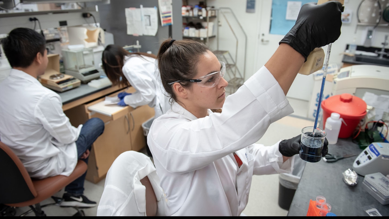 NSF Graduate Research Fellowships Awarded to Four Alumni and One Senior ...