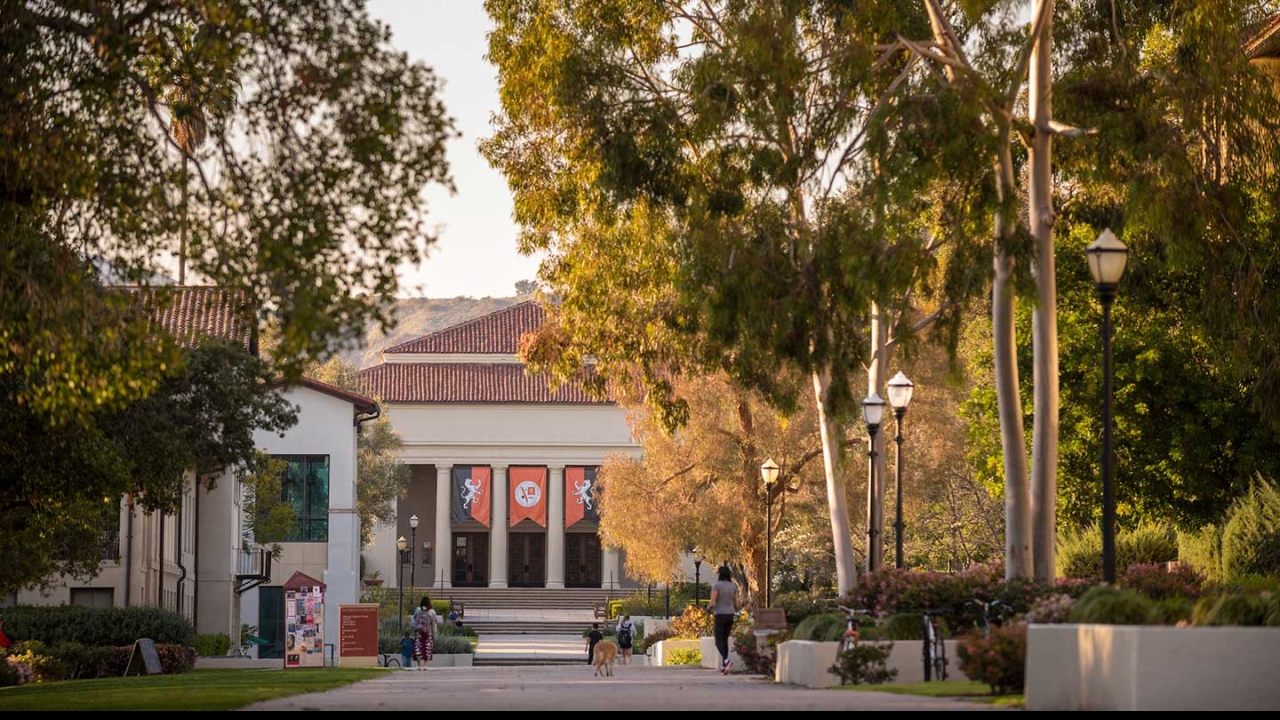 Civil Rights & Title IX | Occidental College