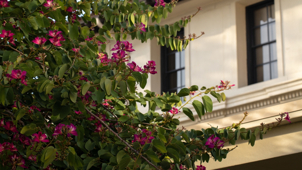 "A Compelling Vision" for the Future of Oxy | Occidental College