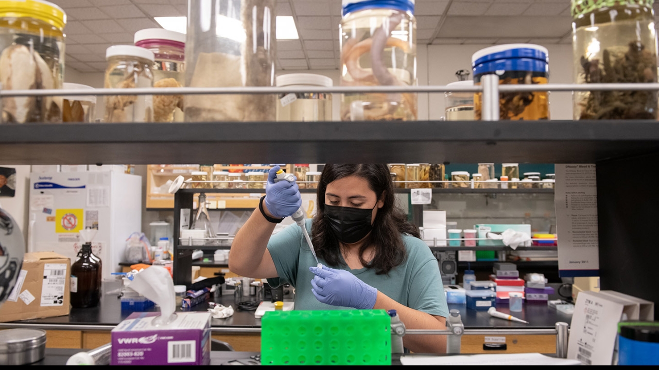 2021 Summer Research Program Brings Students a Step Closer to Normalcy ...