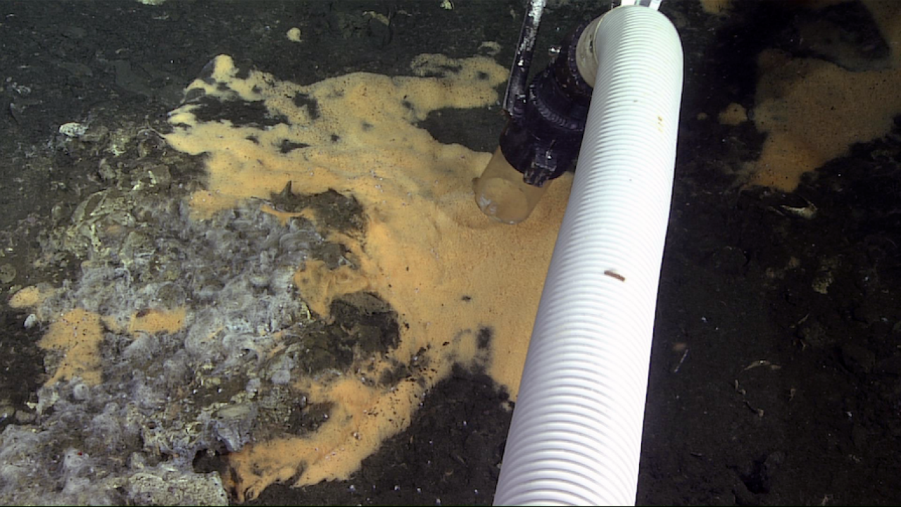 When the Navy calls … | Occidental College